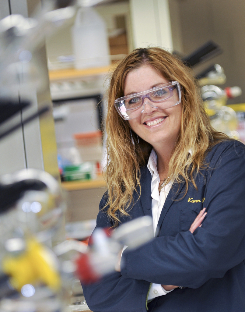 Texas A&M Chemist Karen Wooley Honored With 2021 SEC Faculty Achievement Award - Texas A&M ...