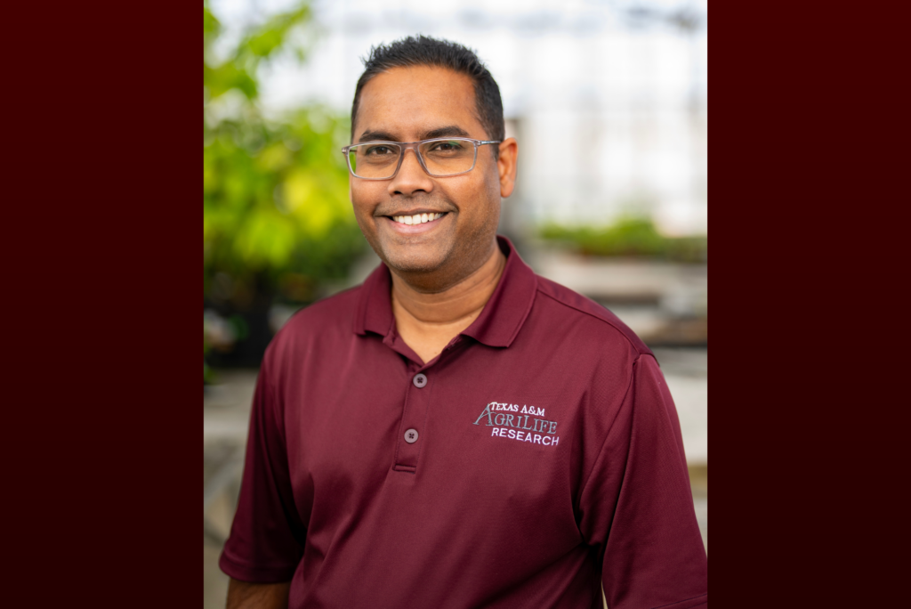 Cutting-edge Innovations to Combat Plant Diseases - Texas A&M Innovation